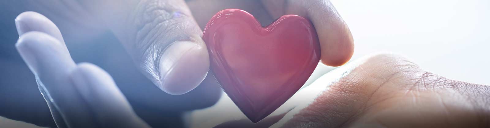 Grants for Schools and Camps - Hearts of Hope